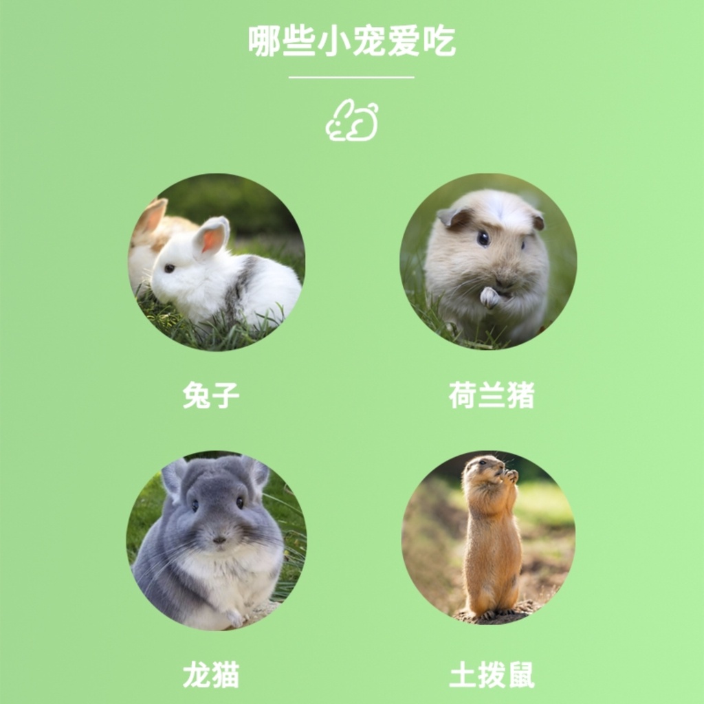 Yee Green oat hay-Rabbit Treat Hay | Shopee Malaysia