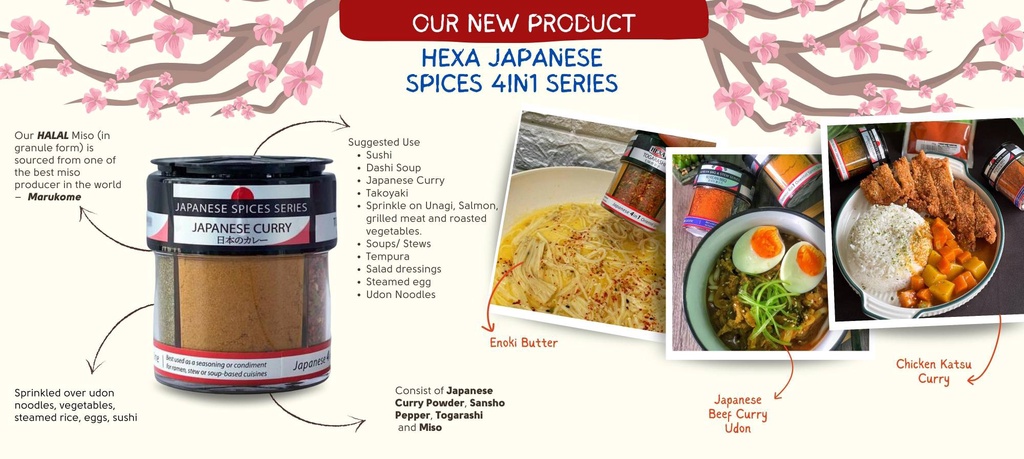 【HALAL】HEXA Spice 4 in 1 British Table Seasoning 85g l American BBQ ...