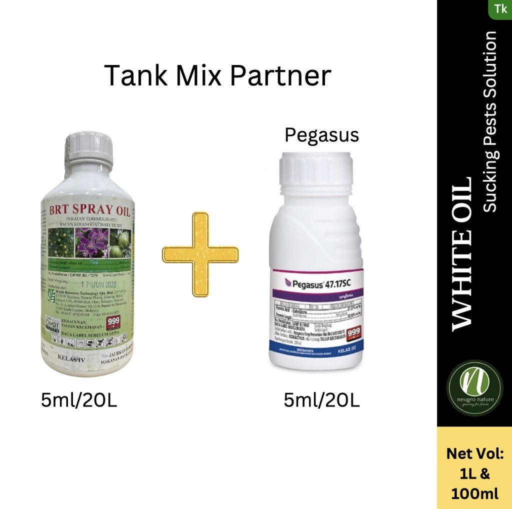 BRT Spray Oil White Oil Organic Pesticide Minyak Putih Untuk Teritip ...