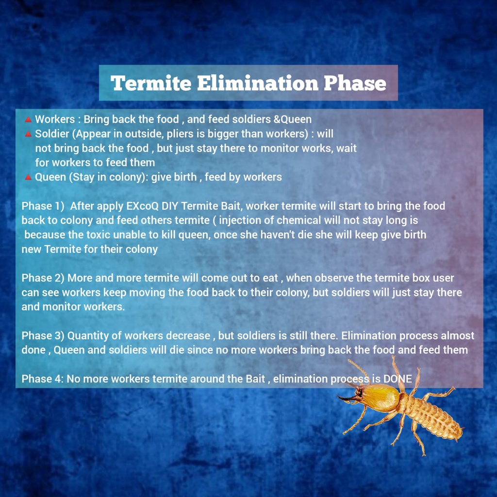 EXcoQ DIY Termite Bait System / Indoor & Outdoor Termite Bait Box ...