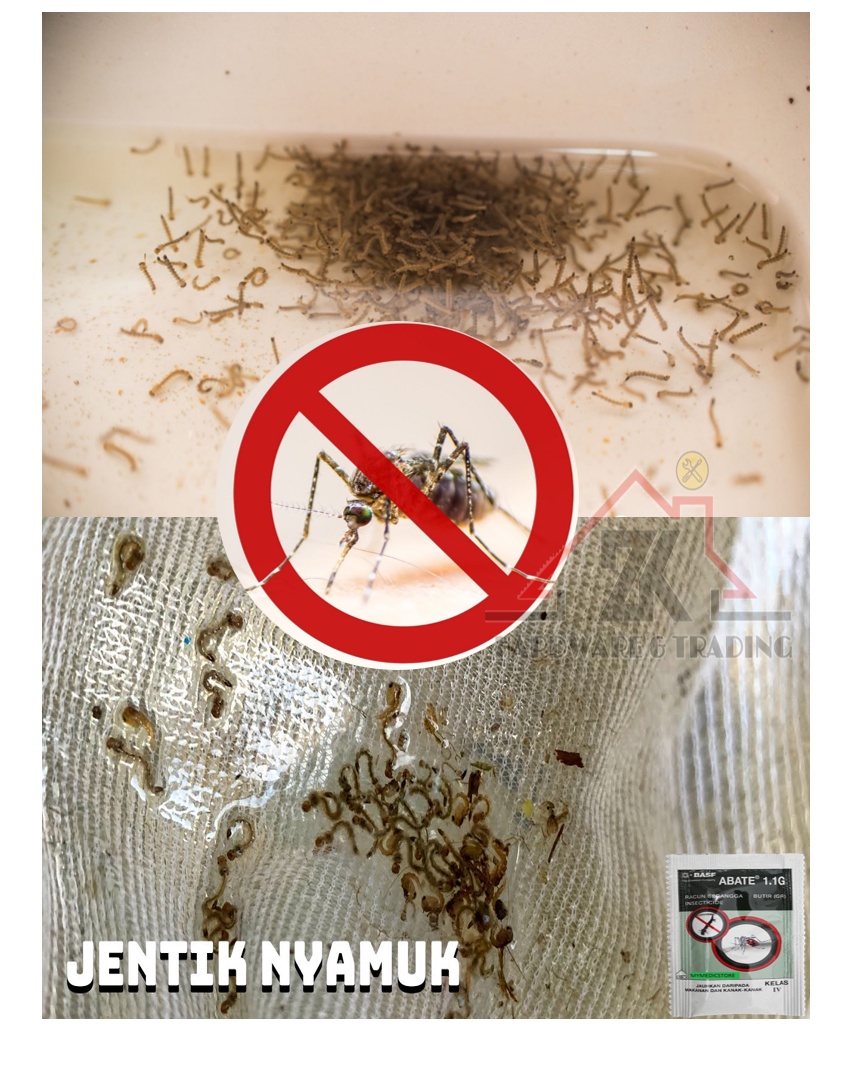 Mosquito Killer Powder Serbuk Nyamuk Aedes 10G Ubat Jentik Abate ...