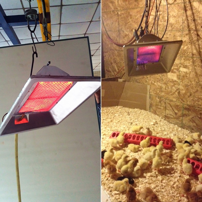 New Electric Automatic Heating Incubation Equipment Infrared Gas ...