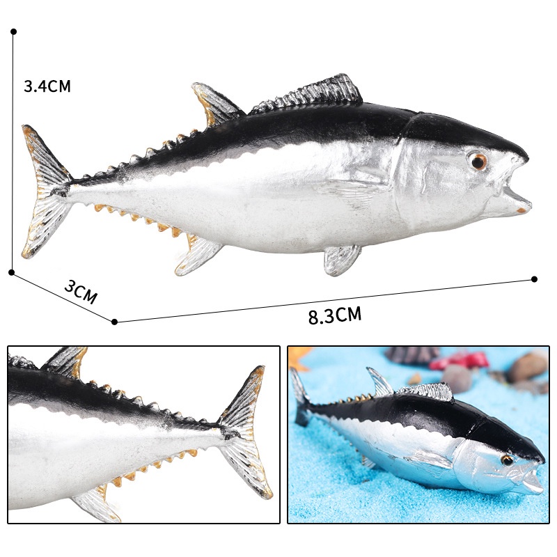 simulation tuna perch snapper marine biological model children ...