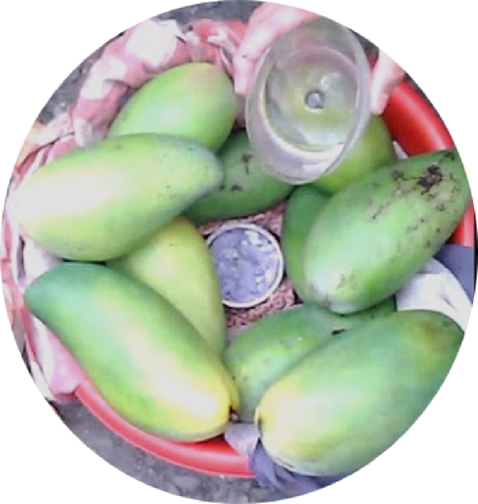 Calcium Carbide Kabait Pisang Pematang Buah- buahan Kabait Meriam Kabat ...