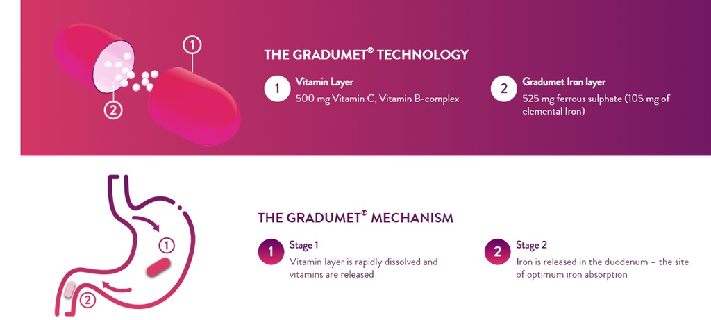 ABBOTT Iberet Folic 500 30's (Iron Supplement) | Shopee Malaysia