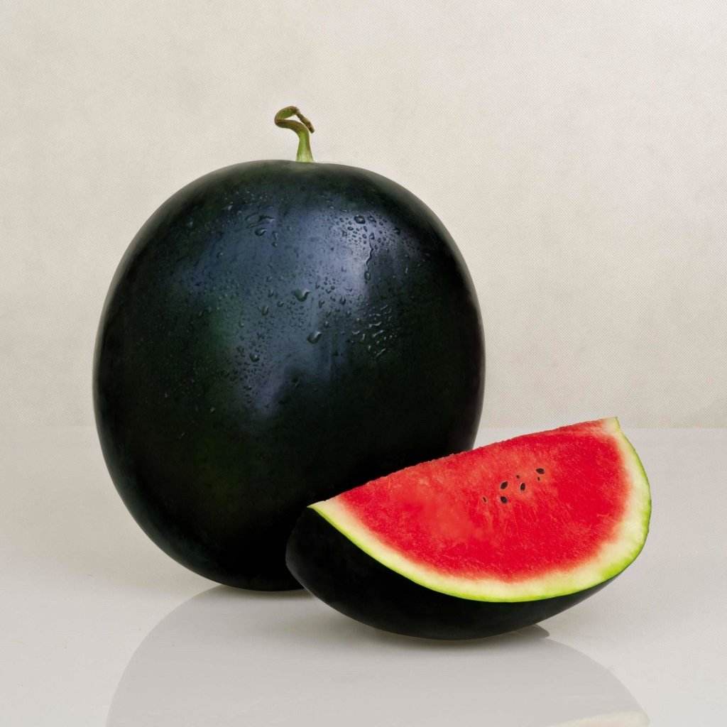 Benih Tembikai Tanpa Biji 10pcs kulit hitam Seedless Watermelon ...