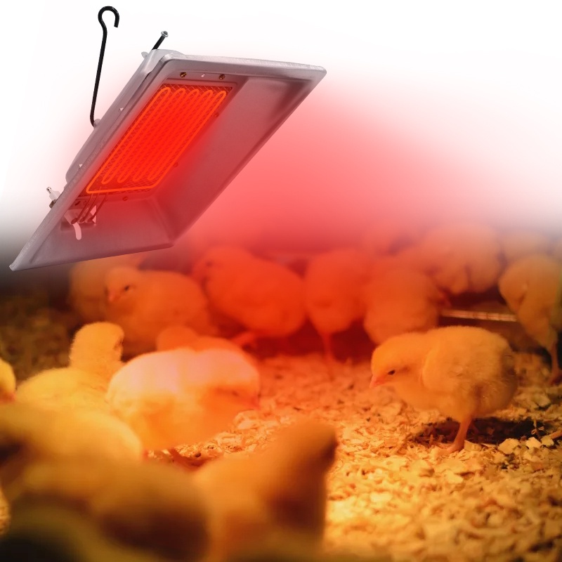 New Electric Automatic Heating Incubation Equipment Infrared Gas ...
