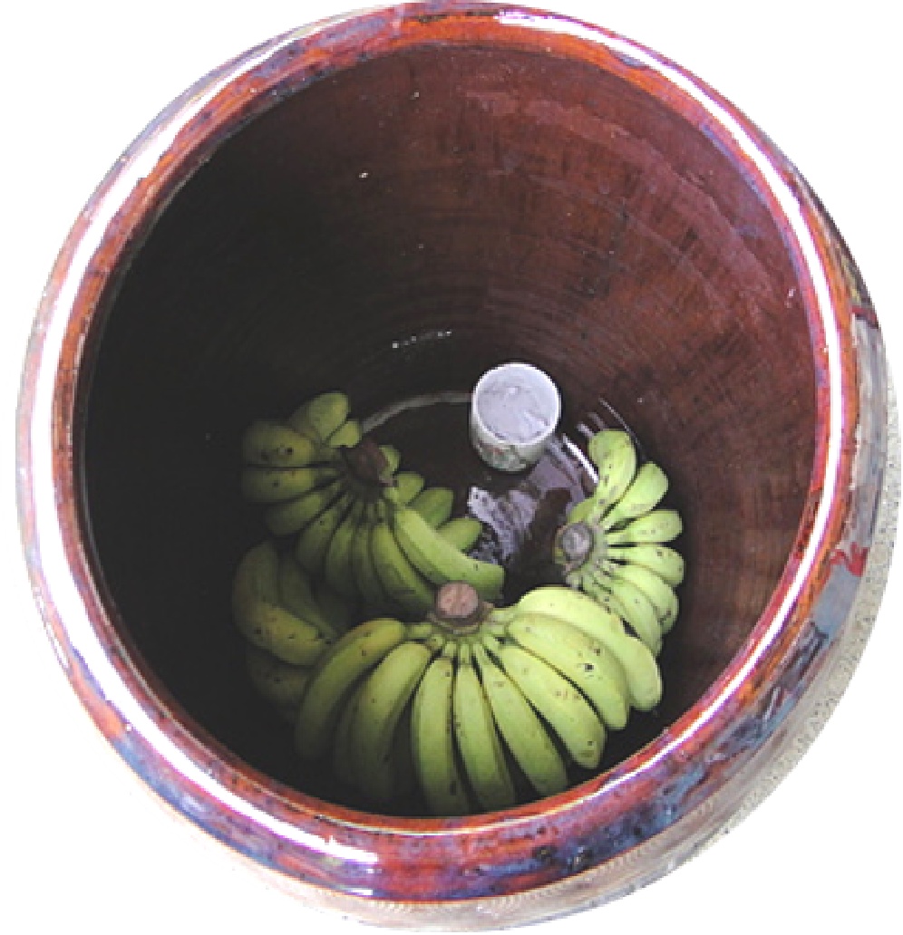 Calcium Carbide Kabait Pisang Pematang Buah- buahan Kabait Meriam Kabat ...