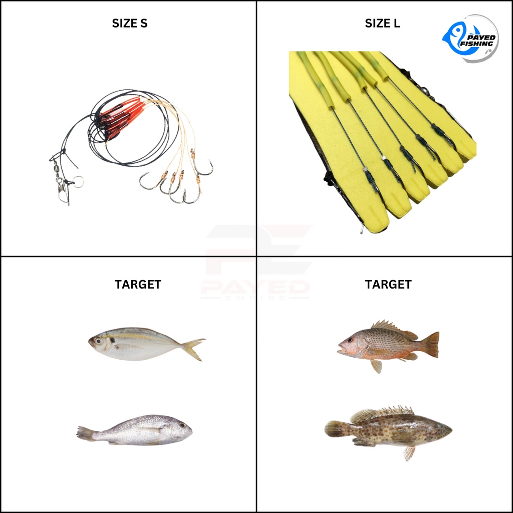 APOLLO/SABIKI Perambut Serampang Lima Mata, Untuk Memancing Sekumpulan ...