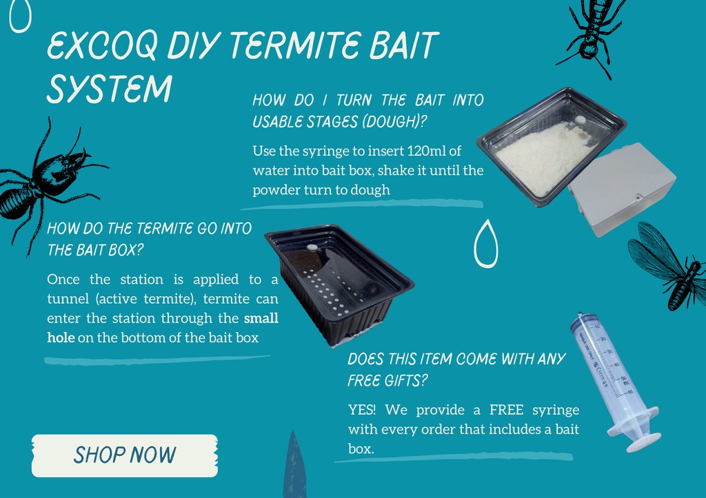 EXcoQ DIY Termite Bait System with FREE Syringe (60g - 240g per box ...