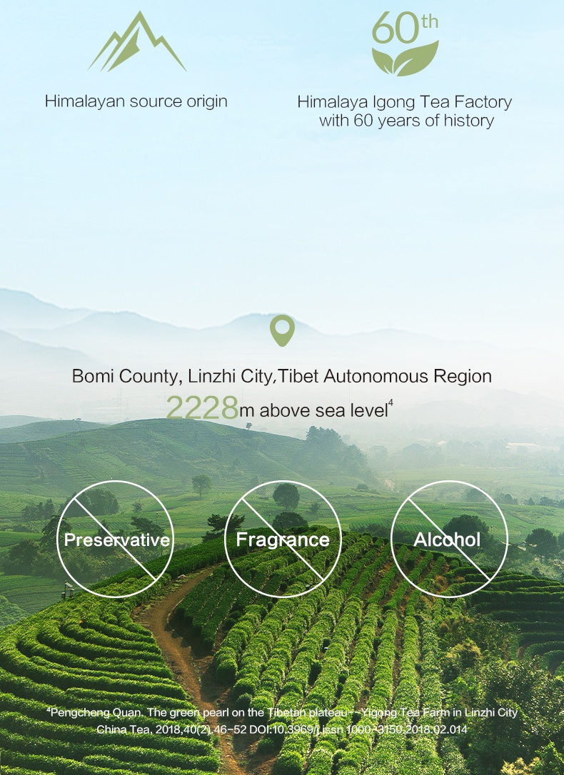 CHANDO Himalaya Green Tea Purifying Clay Mask Pore Cleansing Clay Mask ...