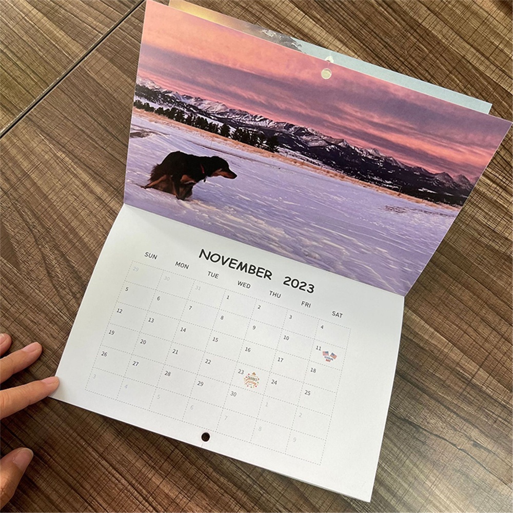 Funny Dog Pooping Calendar 2023 Monthly Wall Hanging Calendar Animal ...