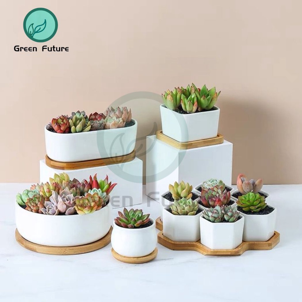Succulent Pot Cactus Pot Ceramic Pot Zakka Minimalism Planter Pasu ...