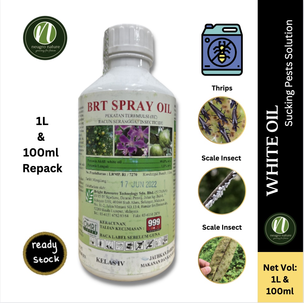 BRT Spray Oil White Oil Organic Pesticide Minyak Putih Untuk Teritip ...