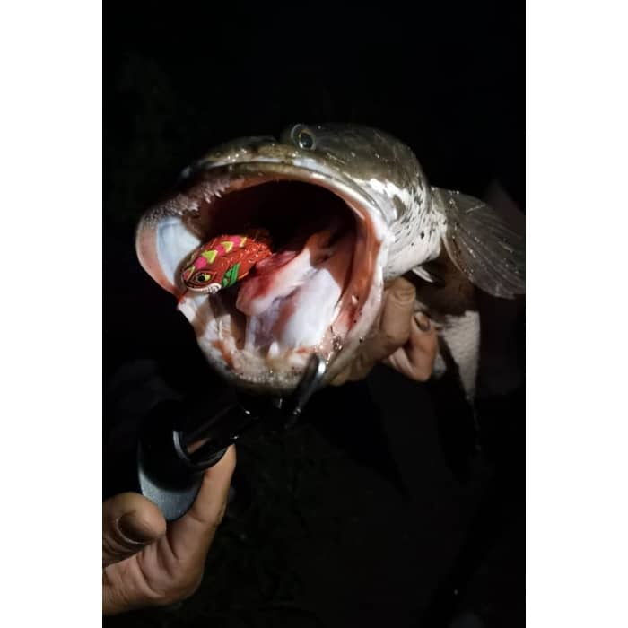 EXP TUAH FROG Soft Rubber Frog THAILAND Expert For Snakehead Hunter ...