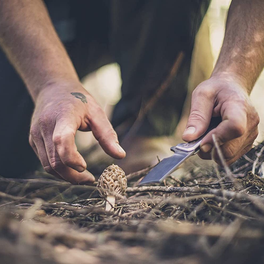 Gerber Asada Folder-Machined Scales/Ball Bearings/anti-pinch plate ...