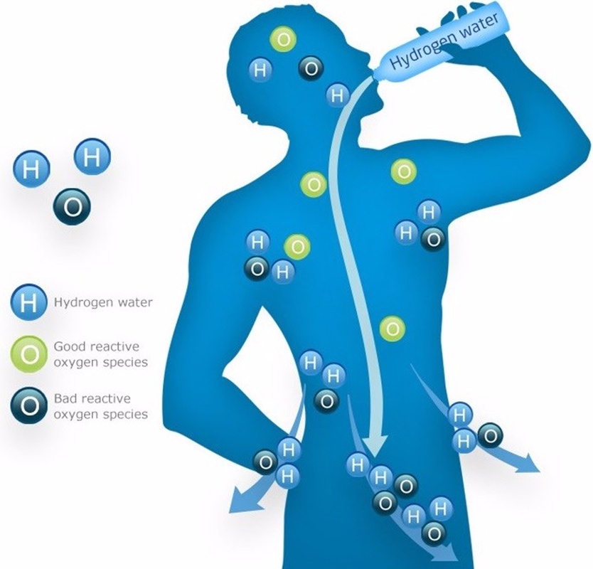 BIOGLASS 2 / Bio Disc 2 / Bio Disc 4 / Scalar Bio Energy bio disc/bio ...