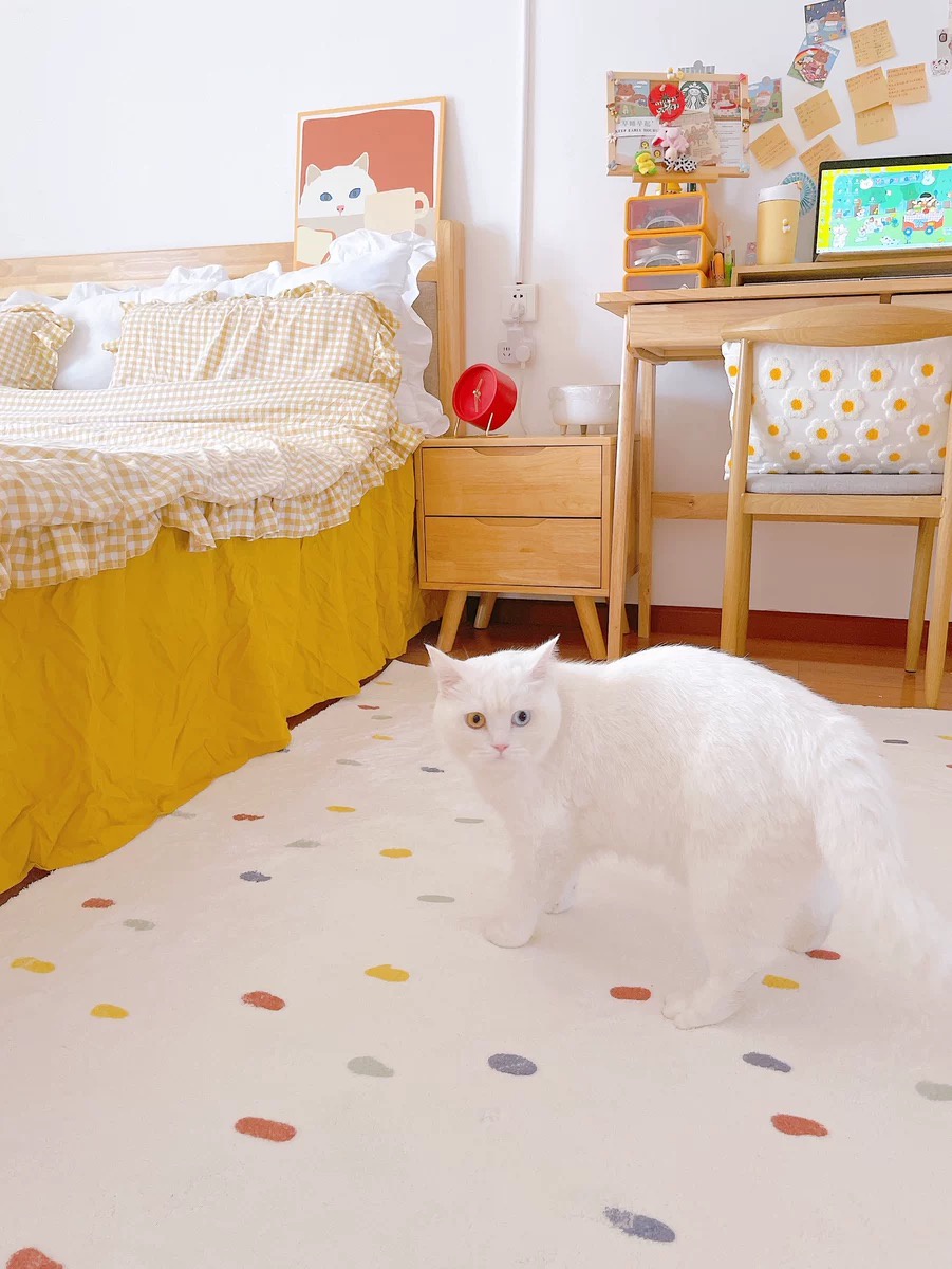 Karpet bilik tidur Imitation cashmere/cute fairy tale 80X120-160X230CM ...