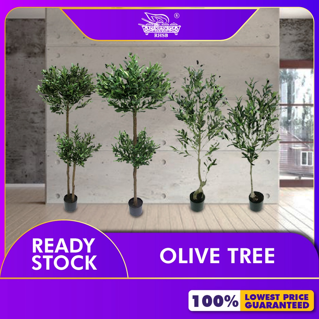 PREMIUM POKOK HIASAN VIRAL / OLIVE TREE / POKOK OLIVE / ARTIFICIAL ...