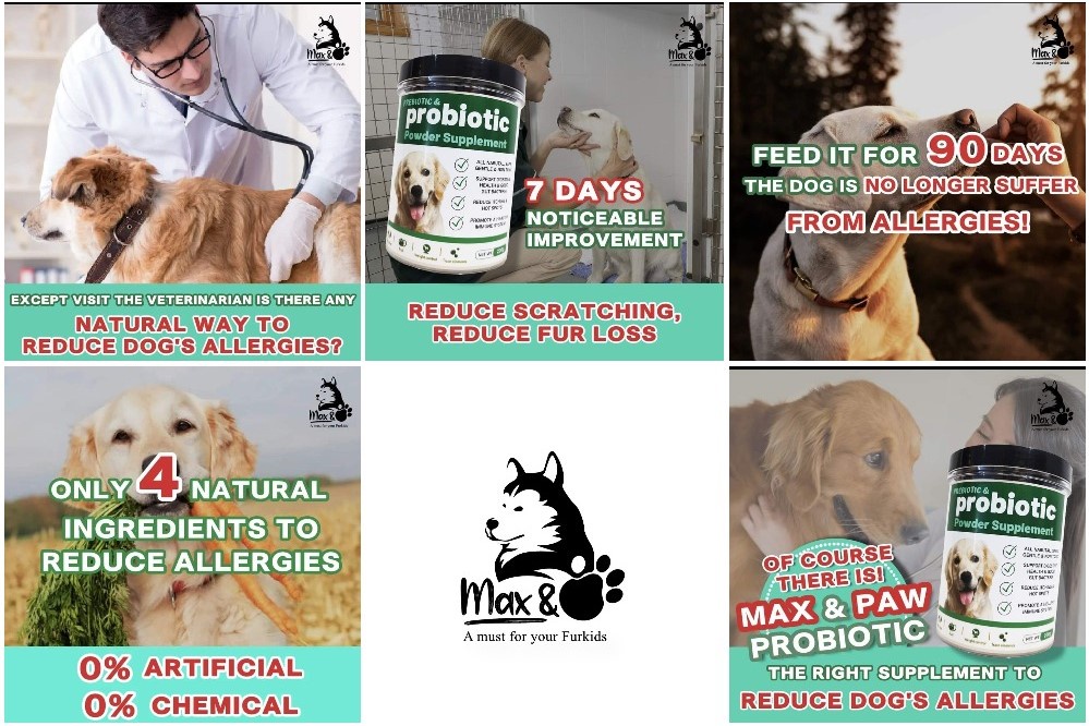 MAX & PAW All Natural Organic Prebiotic & Probiotic Pet Supplement Powder For Dogs益生菌 60g(2g x ...