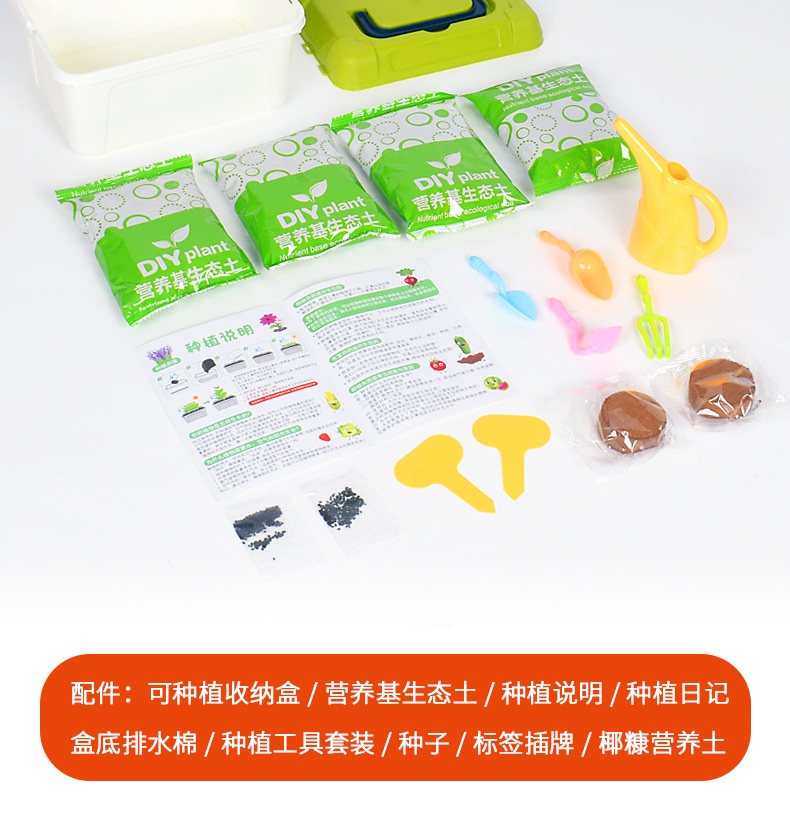 Kids Mini Plant Blind Box Flower Vegetables DIY Kindergarten Science ...