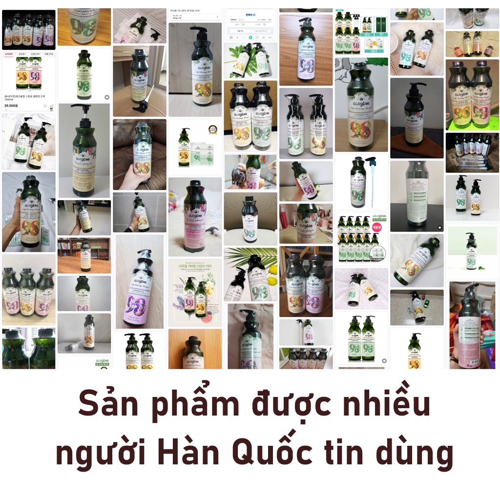 [Ecoglam] Scalp Cleansing Shampoo 1000ml /500ml GRAFEN /KUNDAL style ...