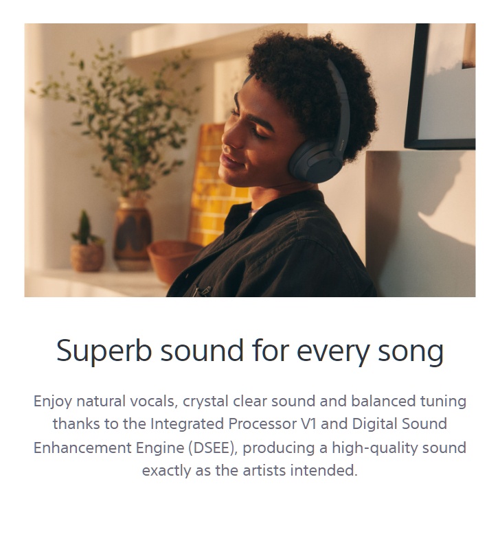 Sony WH-CH720N Active Noise Cancelling Bluetooth Wireless On-Ear ...