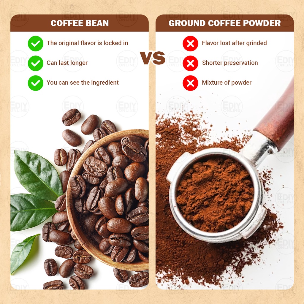 100g Roasted Borong Quality White Coffee Bean Robusta Biji Kopi ...