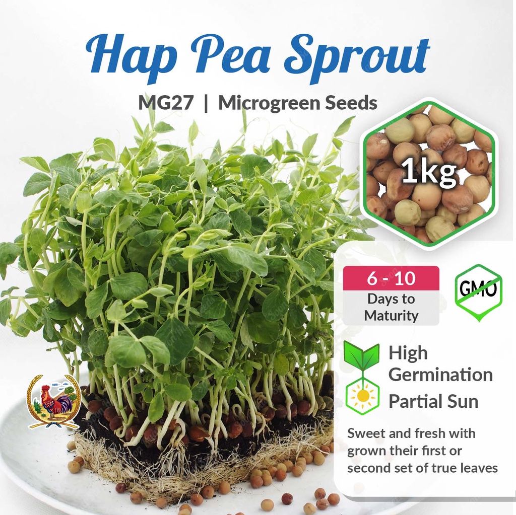 [1KG] MG27 Hap Pea Sprout Microgreen Soon Huat Seeds | Shopee Malaysia
