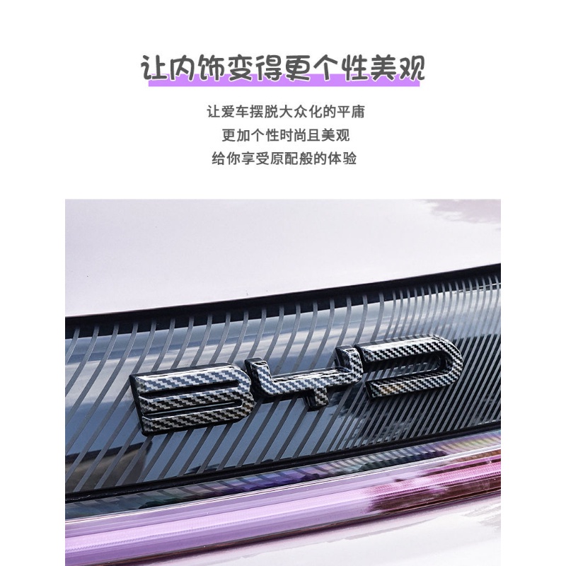 BYD Dolphin Medium Mesh Letter Logo Carbon Fiber BYD Decorative Sticker ...