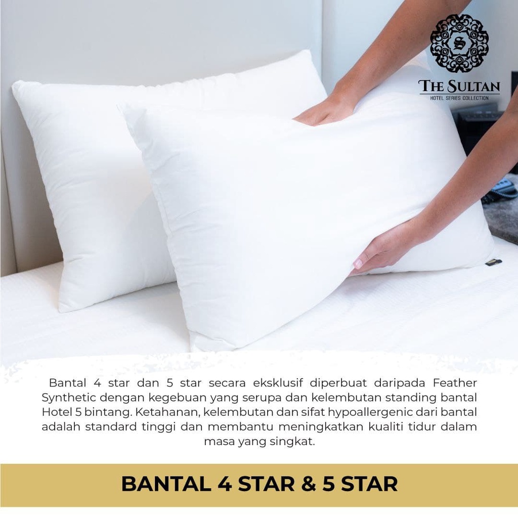 [FREE SHIPPING*] Bantal The Sultan | Sultera Pillow - [SET | PACKAGE ...