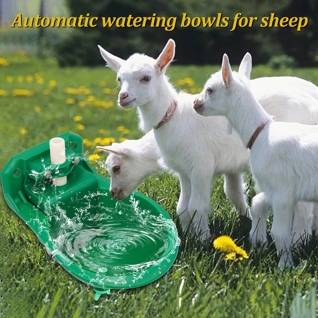 New Automatic Durable Sheep Water Drinker Bowl Pig Goat Drinking Bowl ...