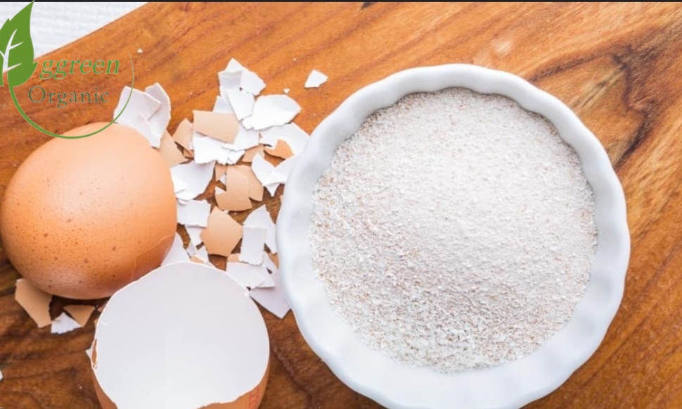 100% Natural Fine Organic Selenium Chicken Egg Shell Powder( Pets ...