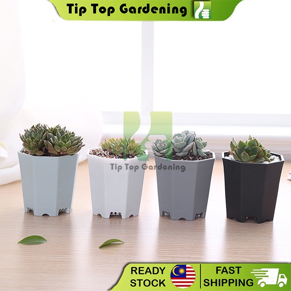 TIPTOP Octagon Cactus Succulent Mini Plastic Pot Thickened Octagonal ...