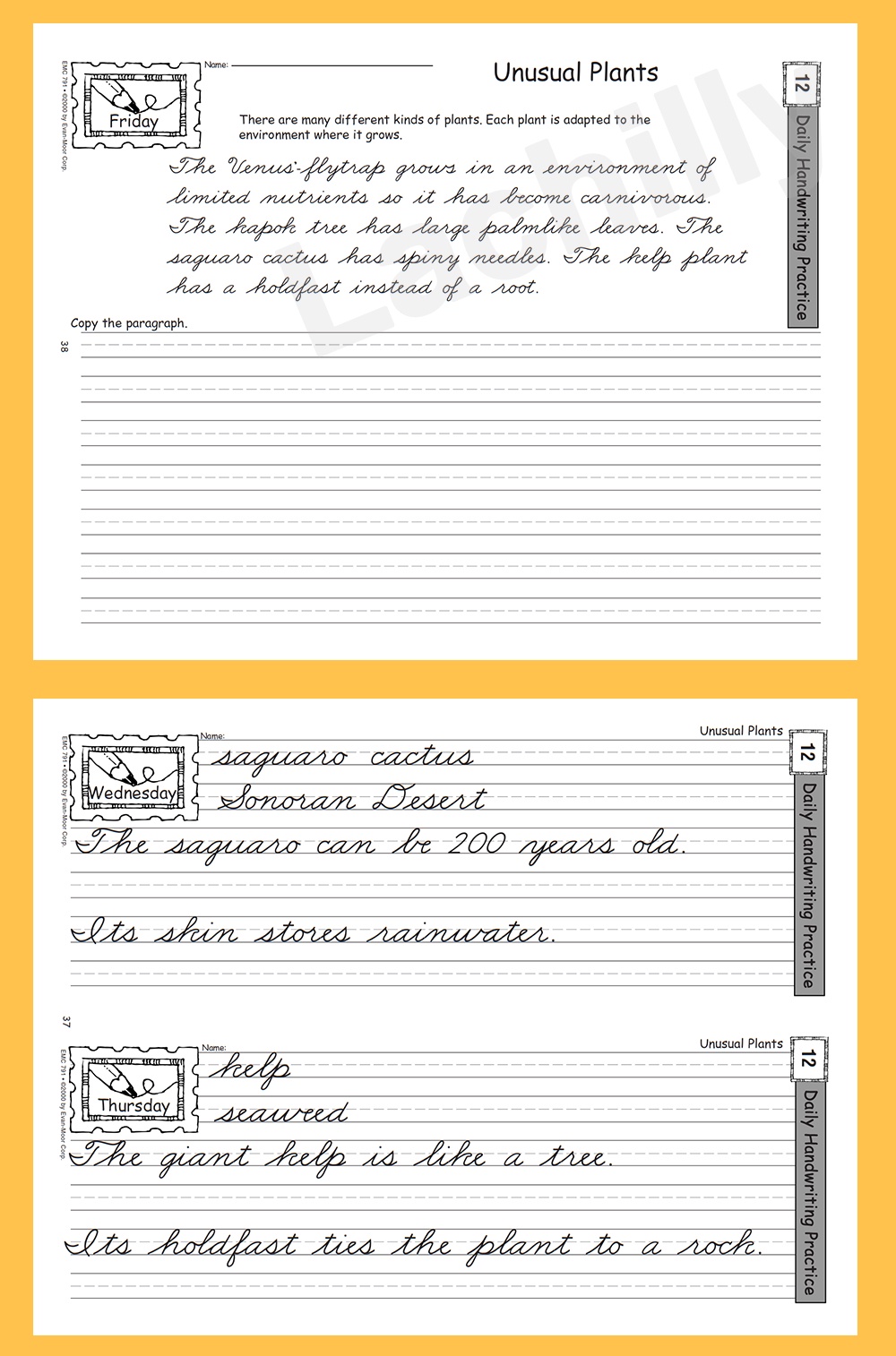 Children Daily Handwriting Practice Traditional Cursive for Kids Learn ...