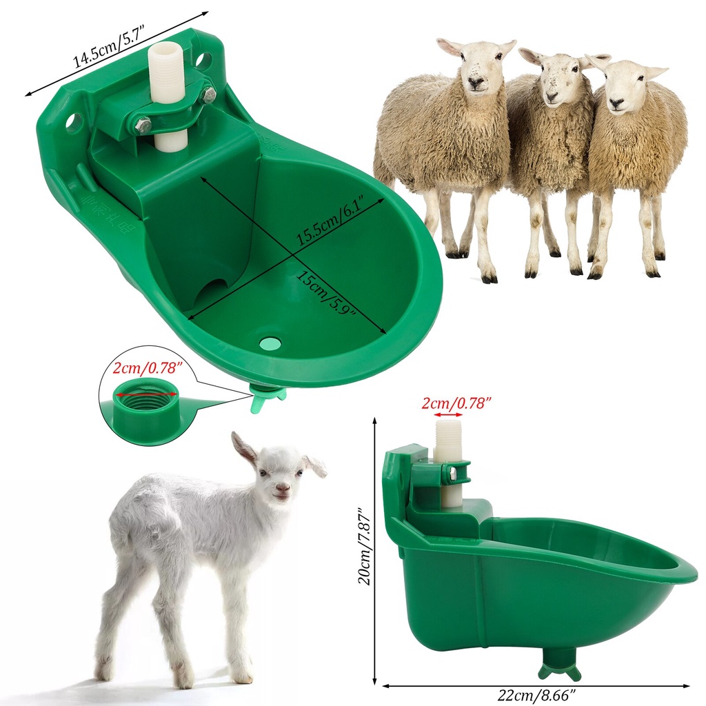 New Automatic Durable Sheep Water Drinker Bowl Pig Goat Drinking Bowl ...