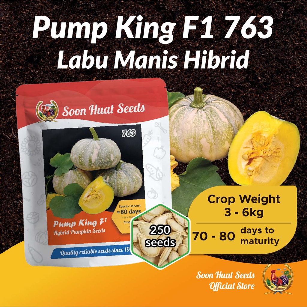 [20g/200g] 763 Benih Labu Manis Pump King Hybrid Soon Huat Seeds ...
