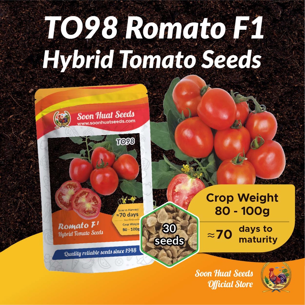 [Small Pack] TO98 Benih Tomato Romato Seeds F1 Hybrid Soon Huat Seeds ...