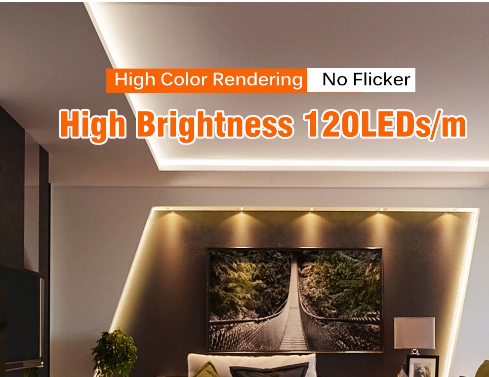 5M 10M LED Strip 12V 24V 120LEDs/m LED Lights High Brightness White/Red ...