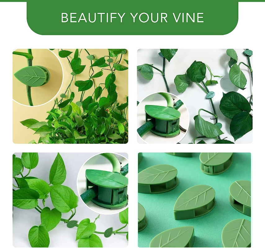 Plant Vine Traction / Invisible Plant Climbing Wall Fixture Rattan Vine ...