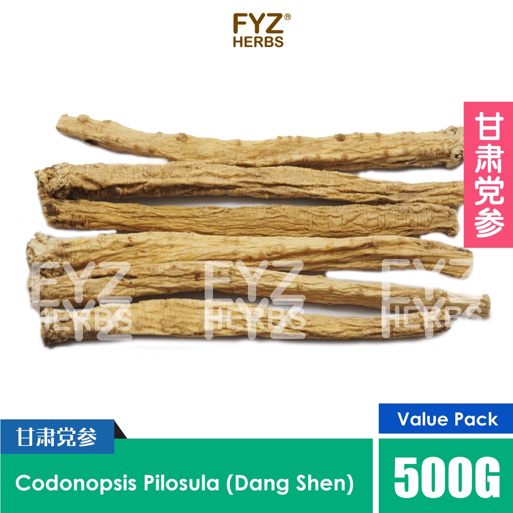 FYZ Herbs Codonopsis Pilosula / Dang Shen / Codonopsis Root 500G | 甘肃党参 ...