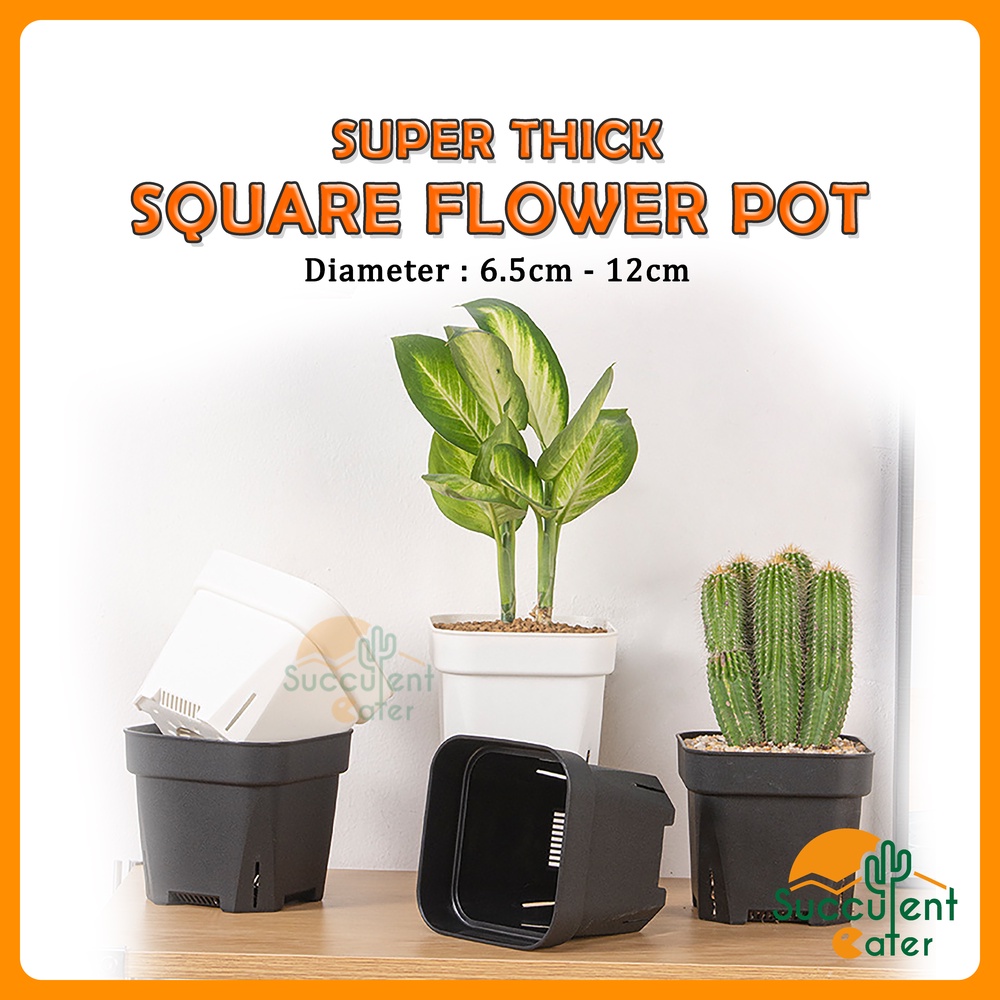 Thick Square Flower Pot Succulent Cactus Plastic Plastik Pasu 塑料花盆 ...