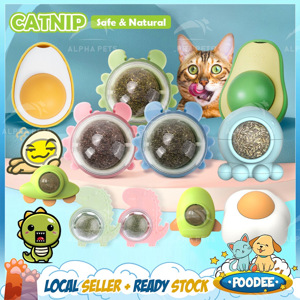 POODEE Natural Cat Seed Catnip Cat Grass Rumput Kucing Cat Snack ...