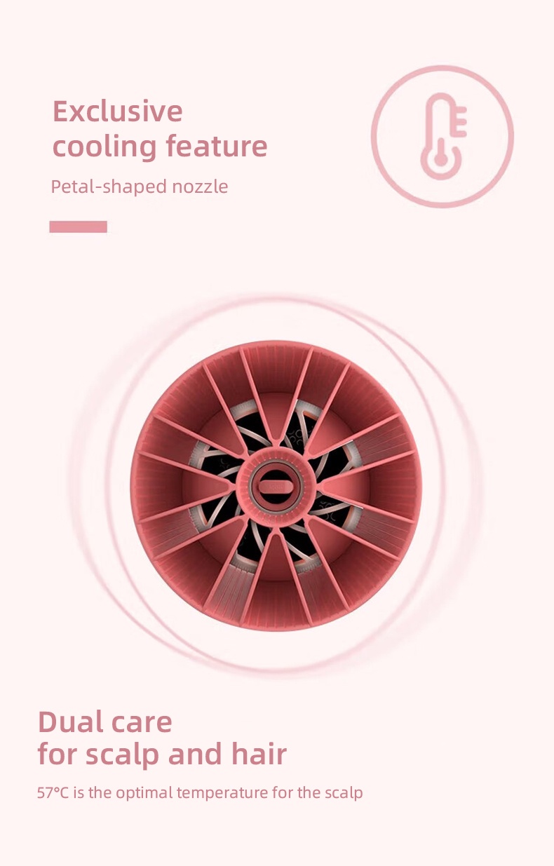 Philips (PHILIPS) 220V Voltage BHP398 Small Flower Tube Hair Dryer ...