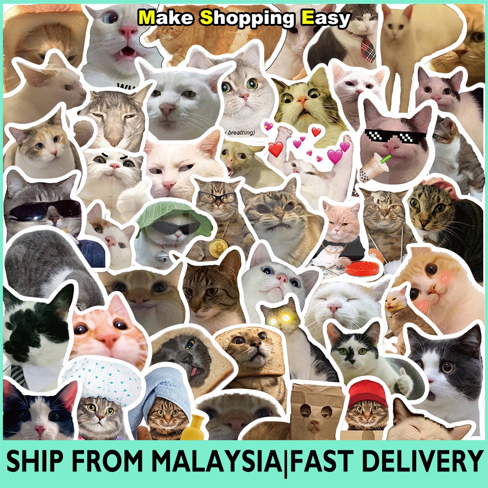 MSE 50pcs Cat Meme Funny Stickers Waterproof Skateboard Laptop Luggage ...