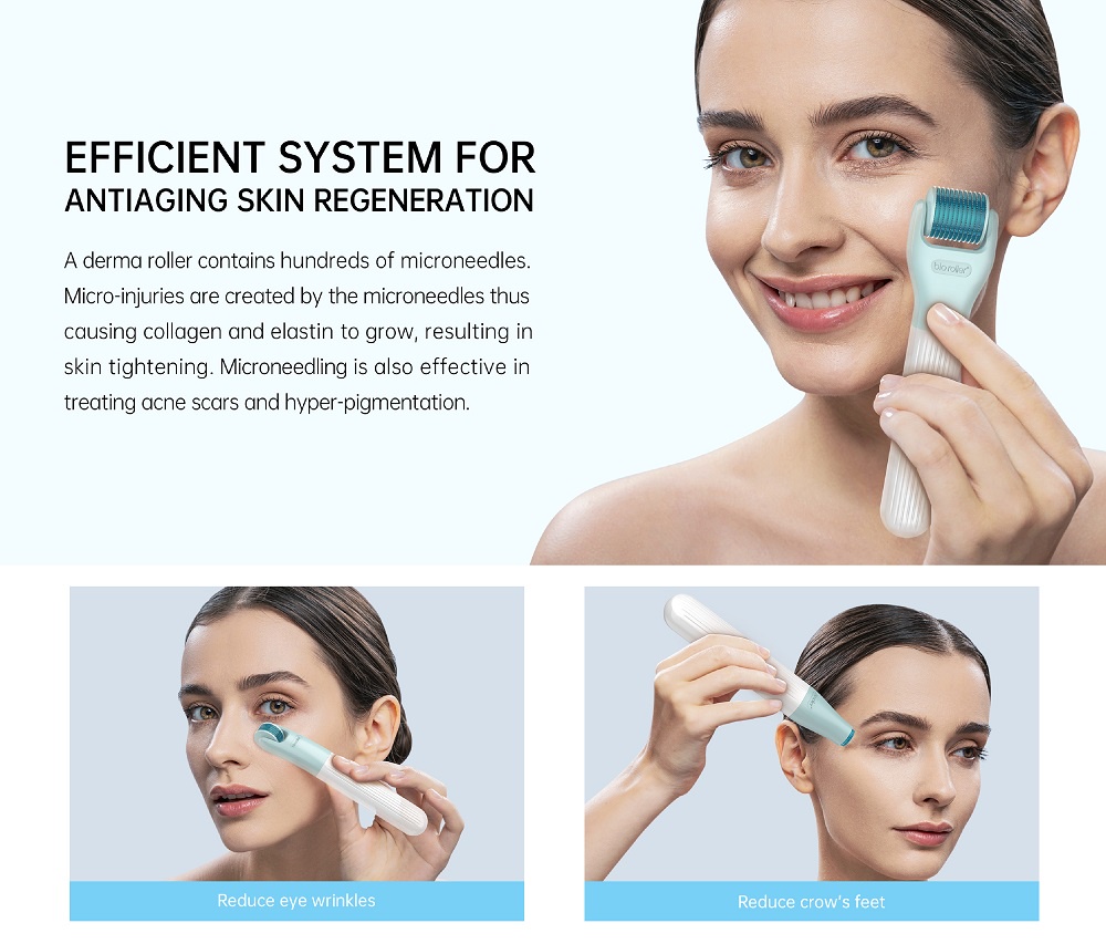 10 In 1 Dermaroller Kit Face Massager Microneedling Derma Rolling ...