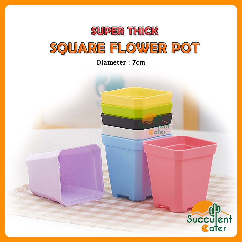 7cm Super Thick Square Colourful Succulent Cactus Plastic Pot Pasu Mini ...