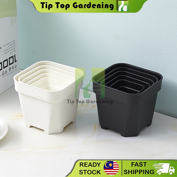 TIPTOP New Succulent Pot Square Shape Plastic Flower Pot Cactus ...