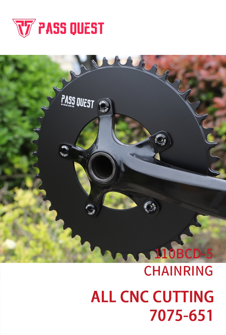 PASS QUEST 110BCD 5 bolt AERO Narrow Wide Chainring Road Bike Fold Bike ...