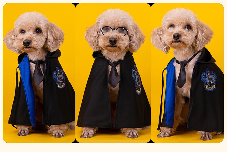 【MsTang】Magic School Role Play Cat Dog Cloak Pet Halloween Costume ...